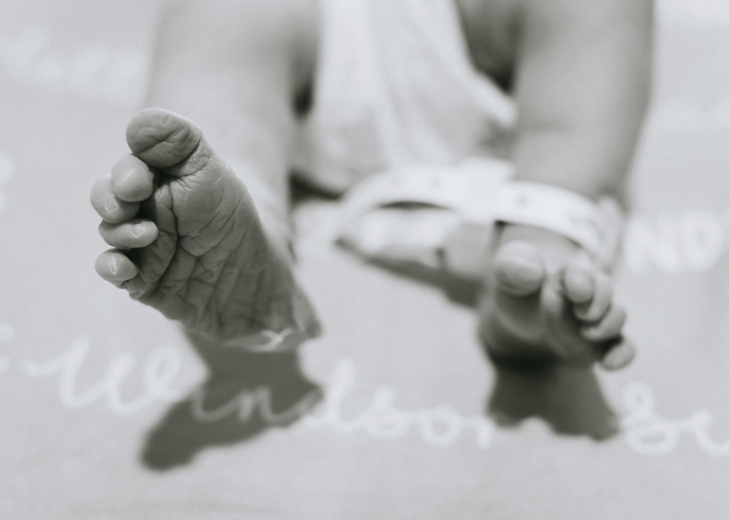 Fresh 48 Session - Bolt Photography