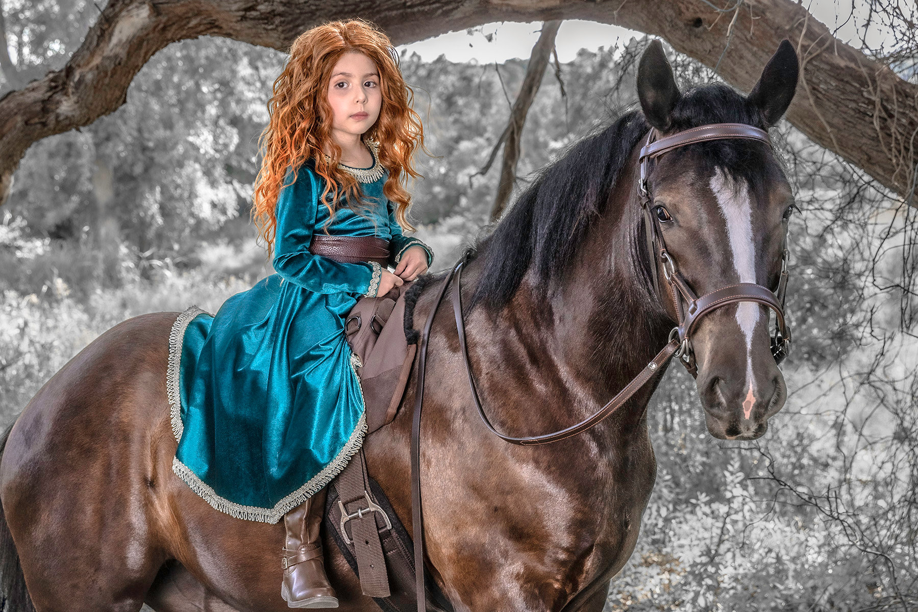 Brave Stella - John Mohar Photography