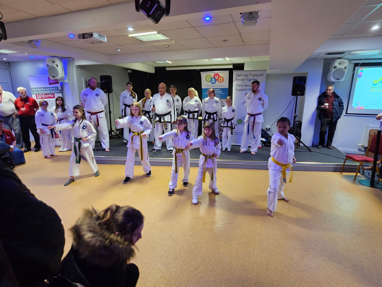 Display at GAVO at Blackwood Rugby Club - Taekwon-do-Wales