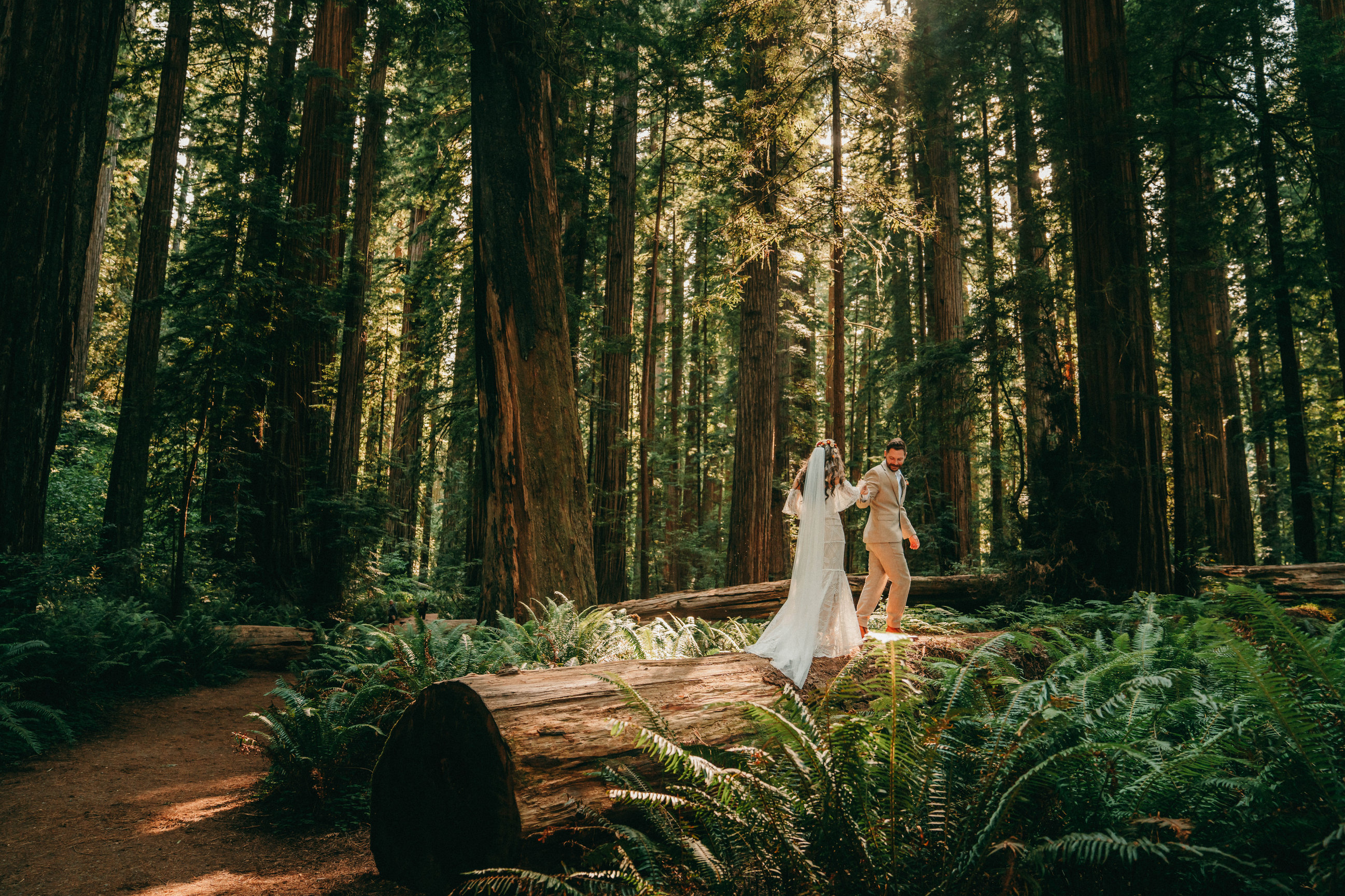 Permit Process for your elopement in the Jedediah Smith Redwoods ...