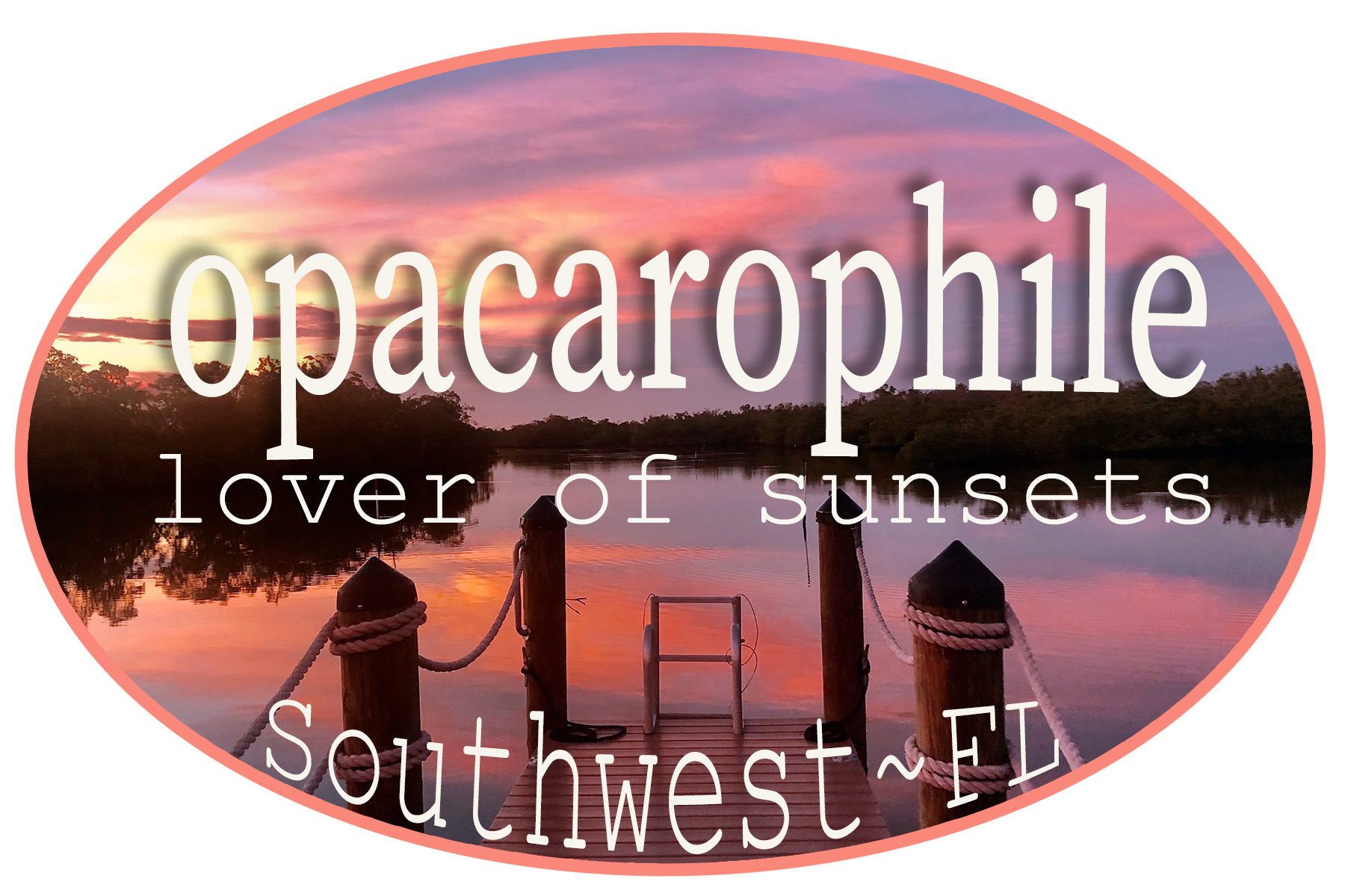 Sanibel opacarophile Oval - Casey B Gent