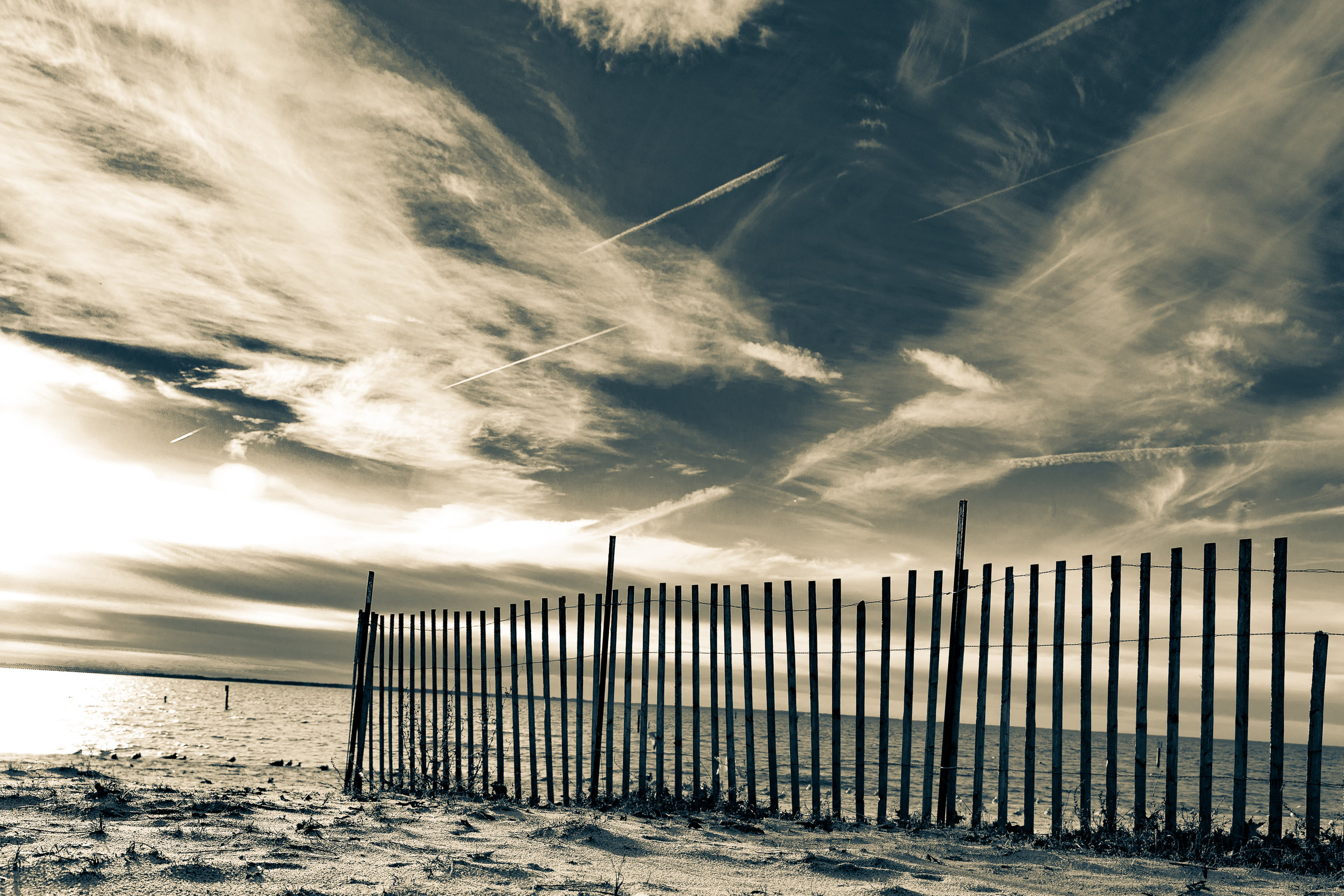 Why Photography Is Essential in Hampton Roads - Rickie Recardo Photography