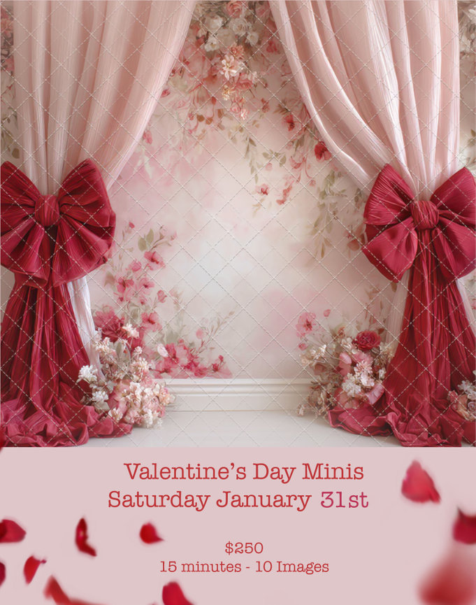 Valentine's Day Minis - Amanda Brehm Photography