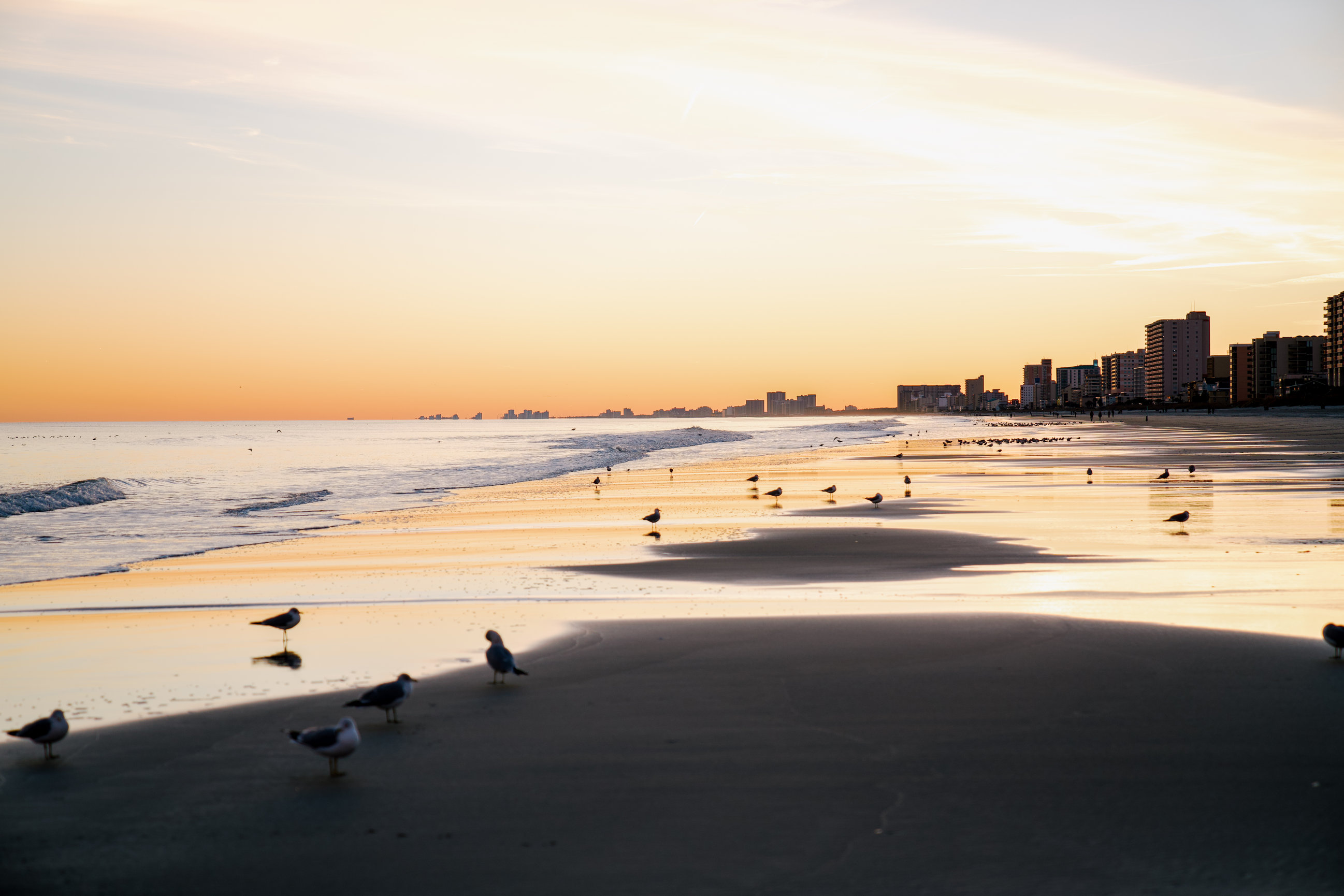 HOME - Sunset Snaps Photography