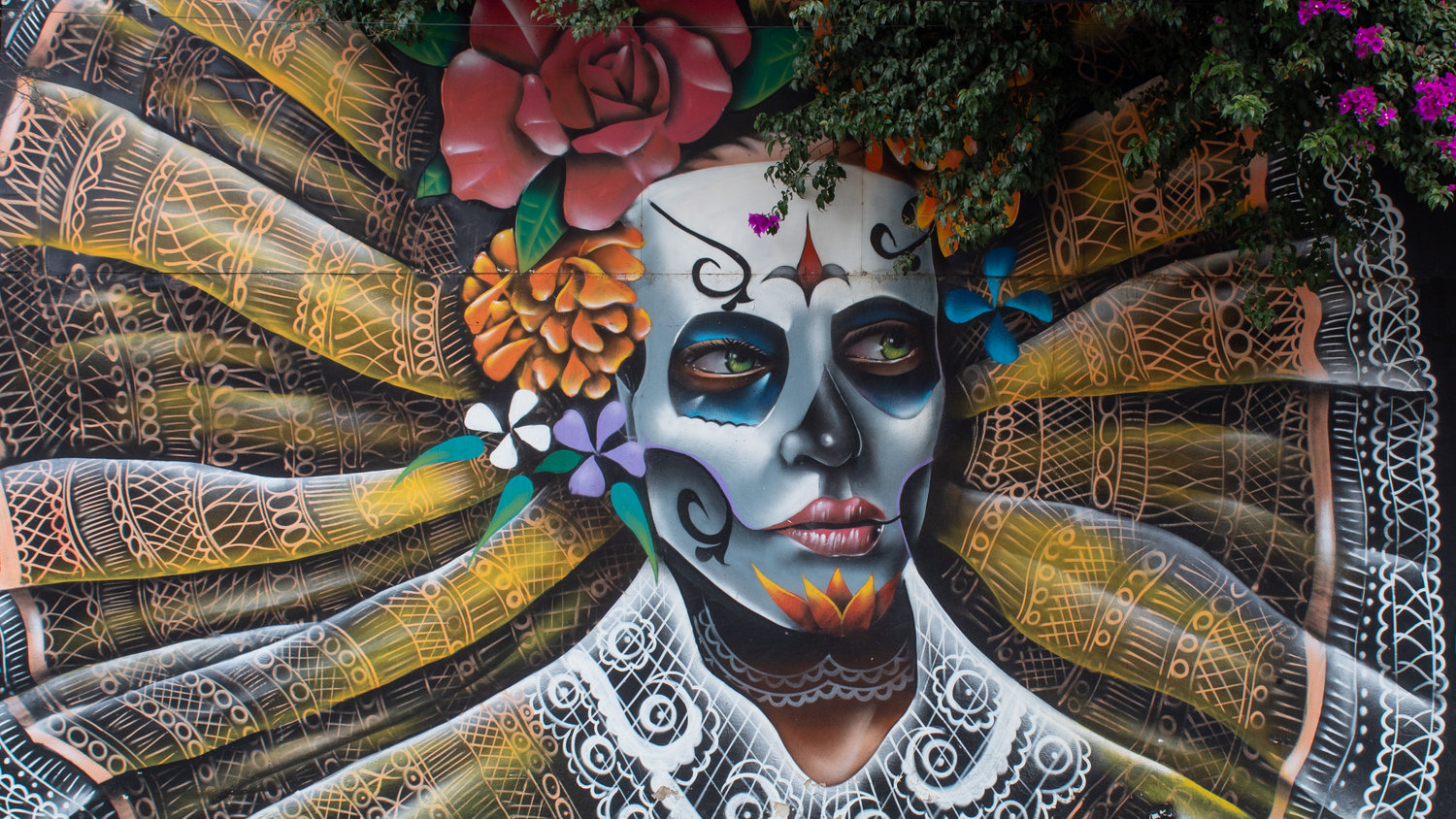 MEXICO - Jim Babson Photography