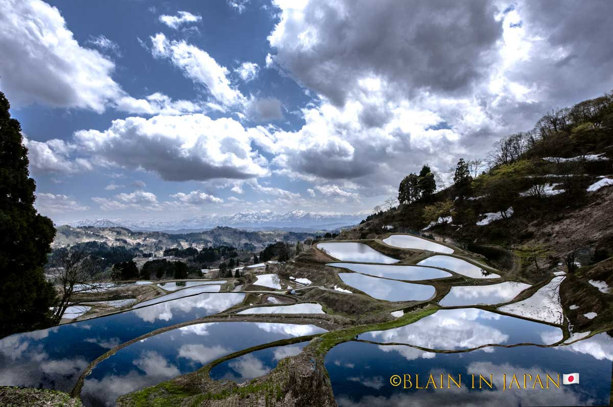 Rice Terraces in Niigata Japan - Blain Harasymiw Photography