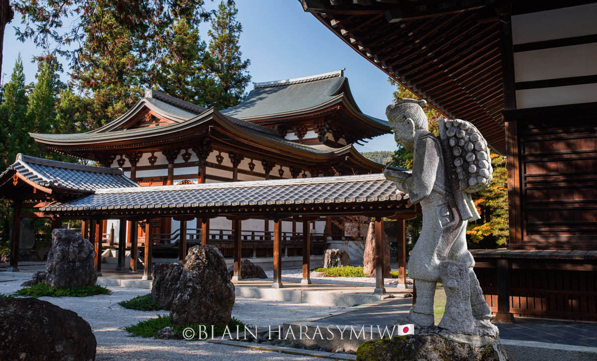 Japan’s Samurai Fortresses - Historic Cherry Blossom Photography Tour ...