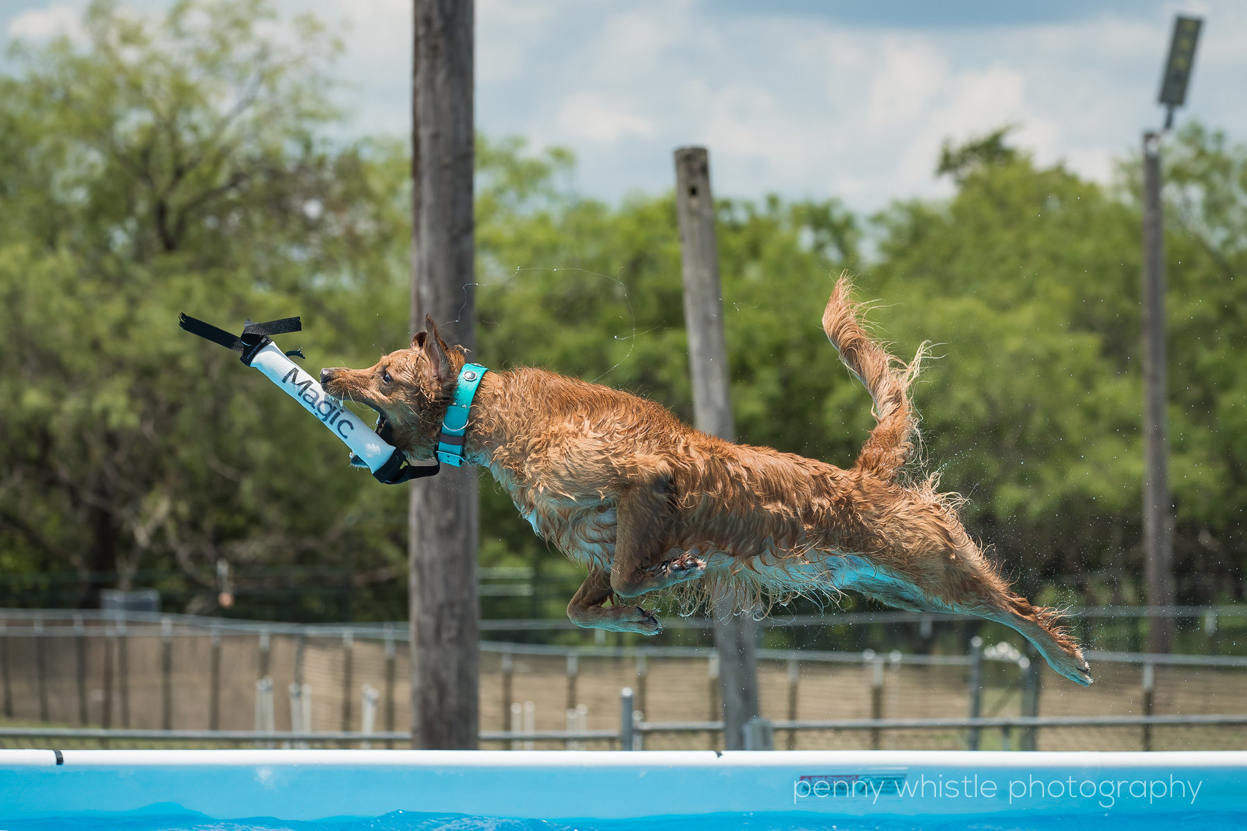 Dock Diving Is A Fun Way To Beat The Heat Of Summer In Dallas