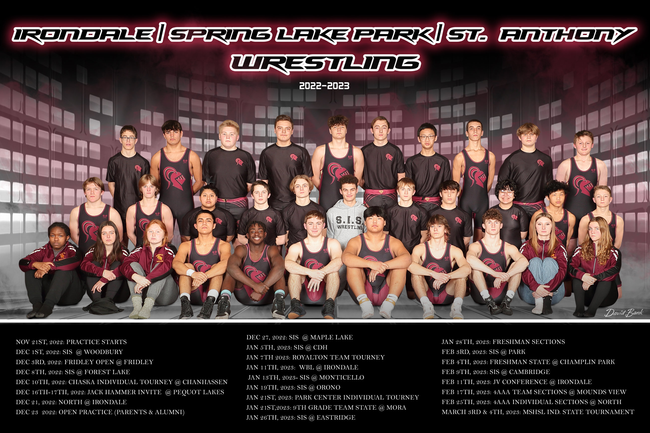 POSTERS - David Bank Studios