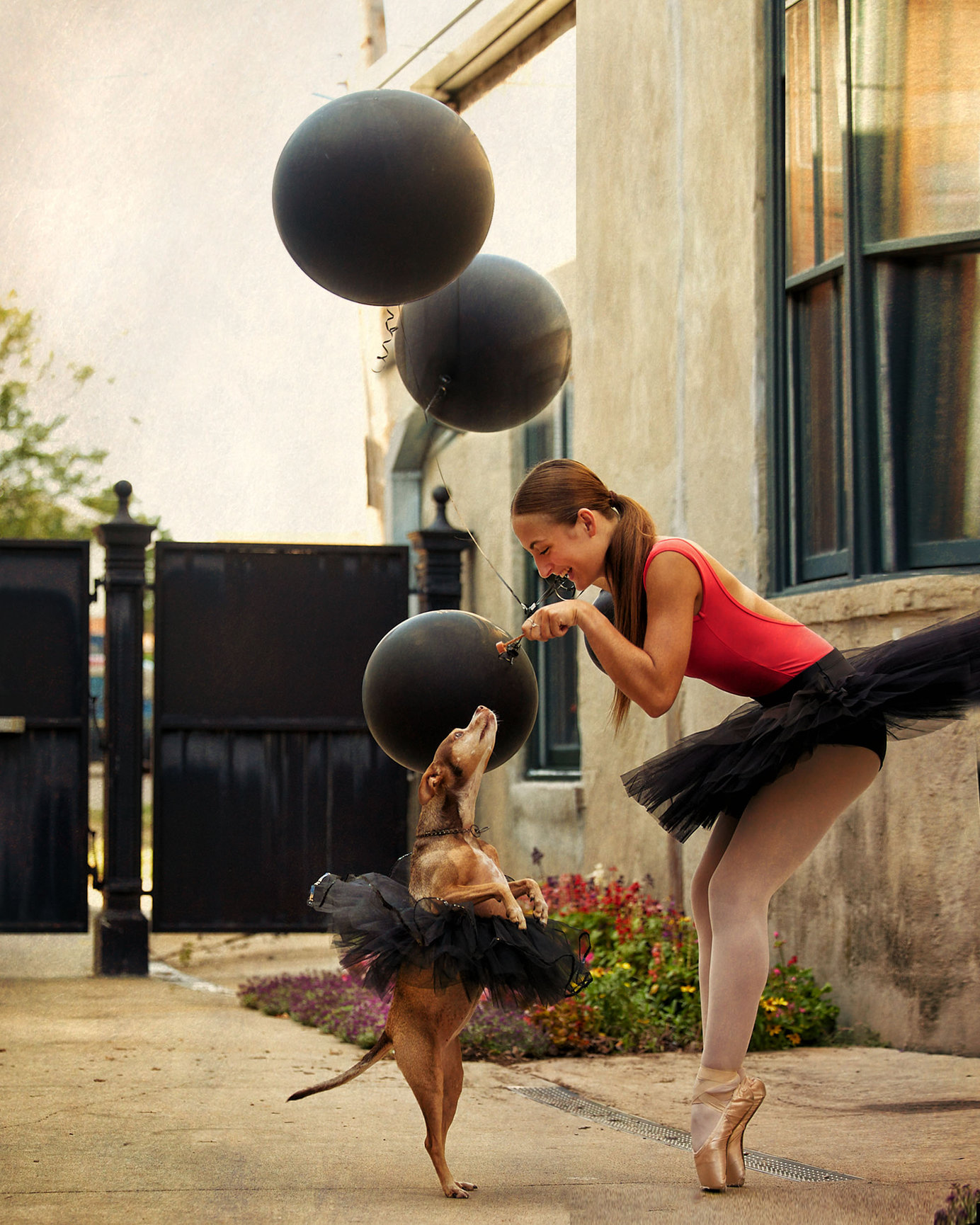 NFocus Photography - nfocus photography