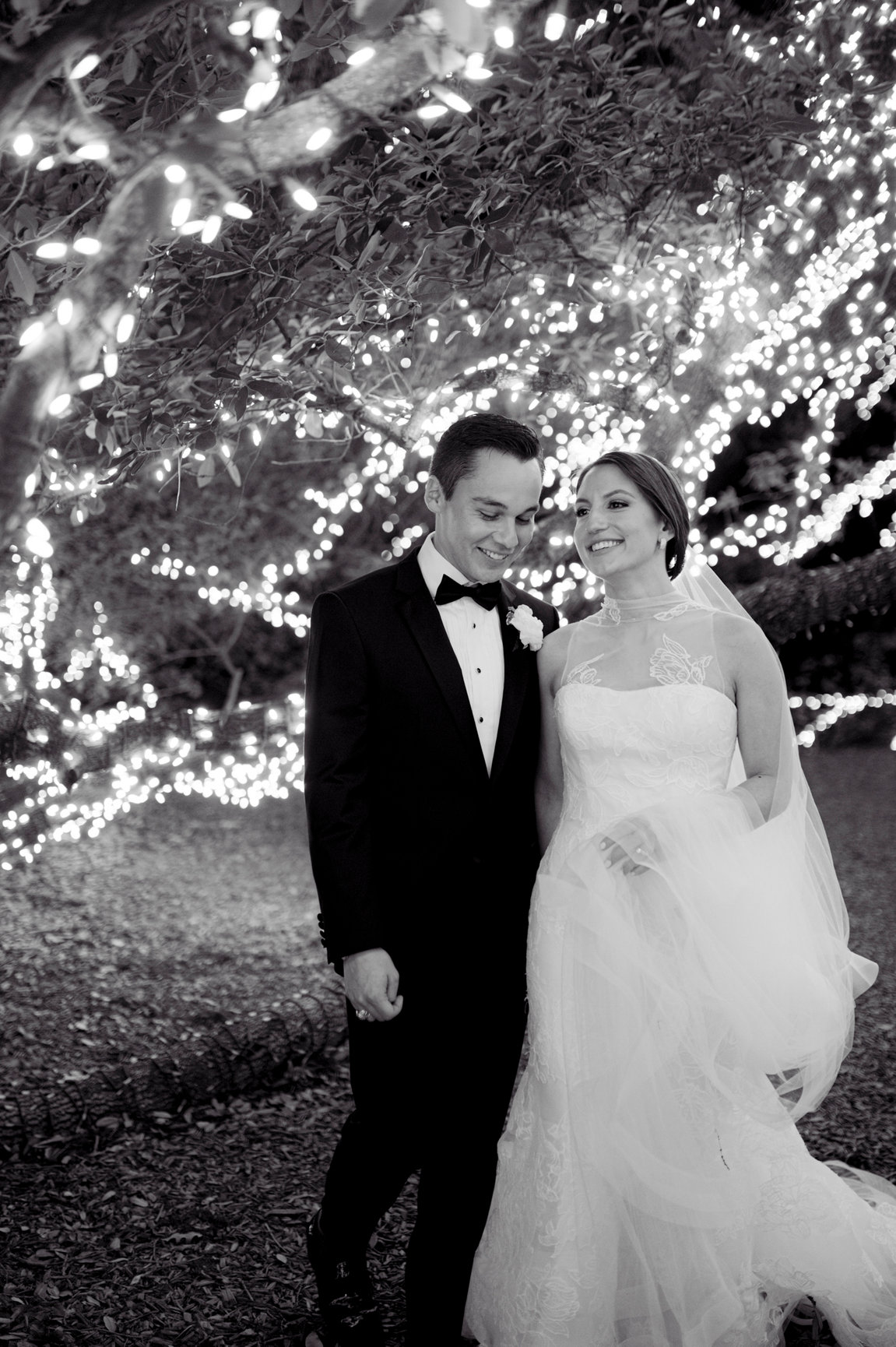 HOME - Bates Photographic Studio - David Bates Photography