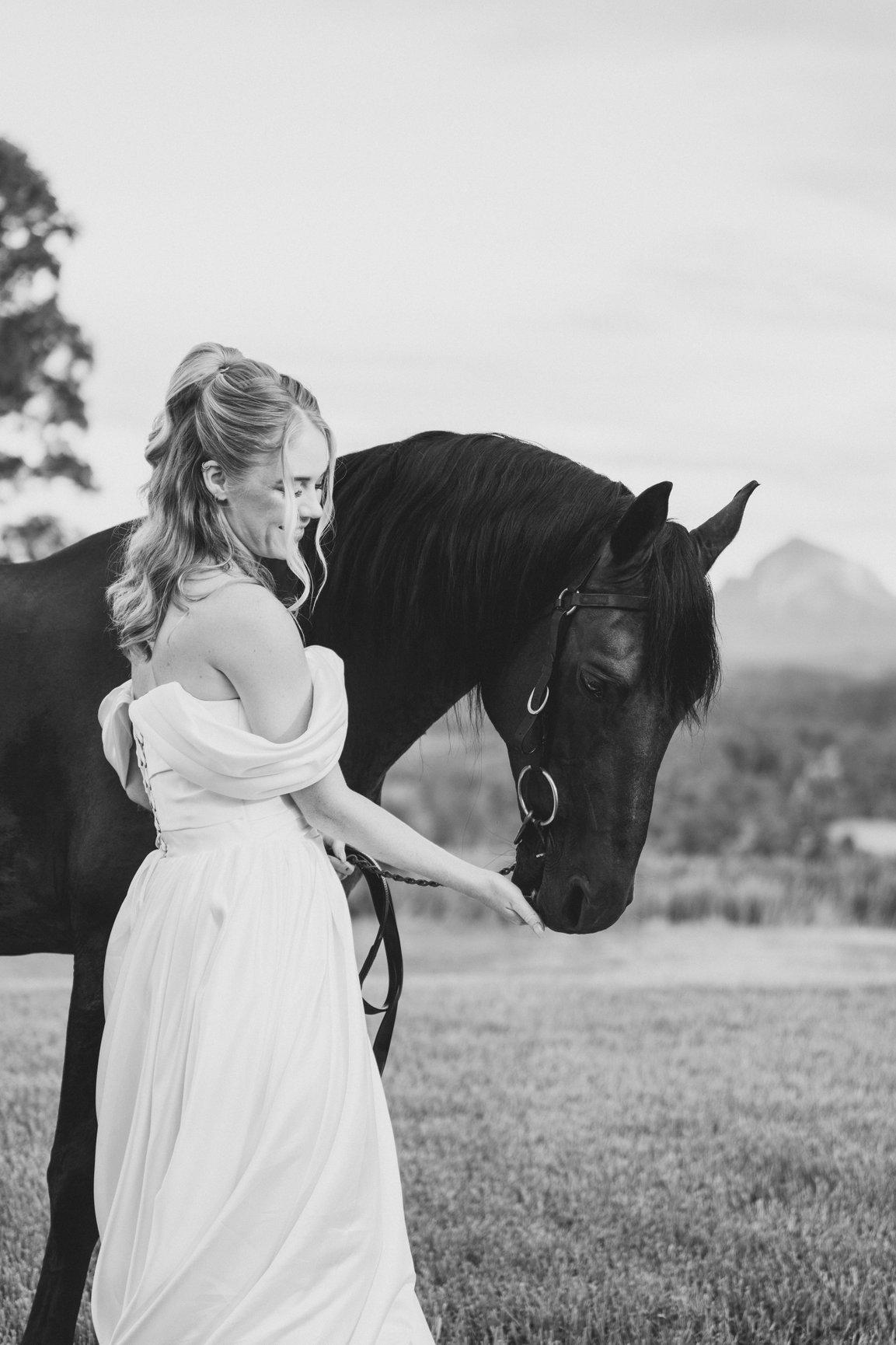 HOME - Sarah Bradford