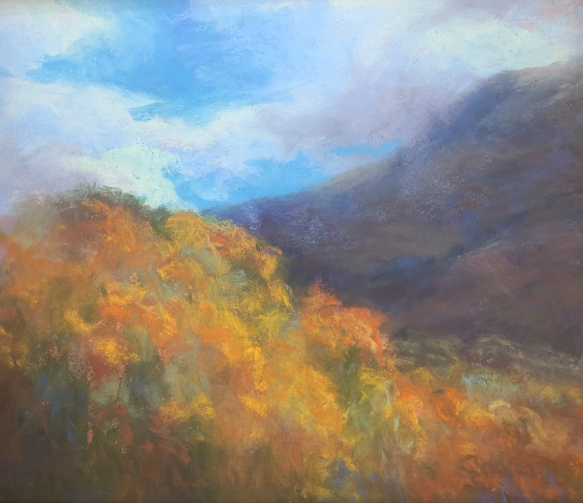 Addren Doss Gallery - Tyler White O'Brien