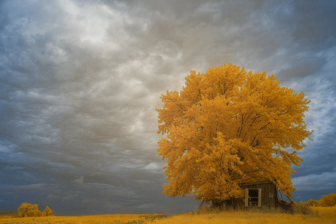 home - Caitlin Garvey Photos