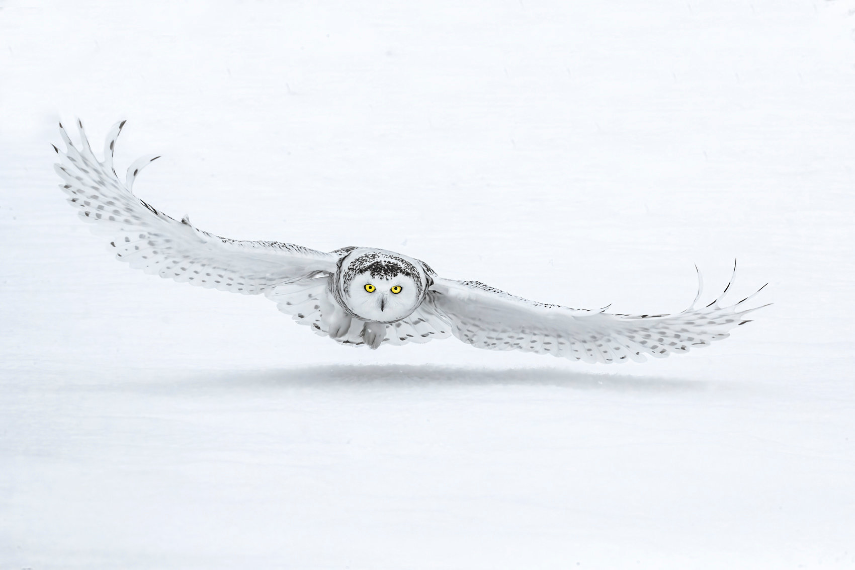 Jim Zuckerman Photography & photo tours