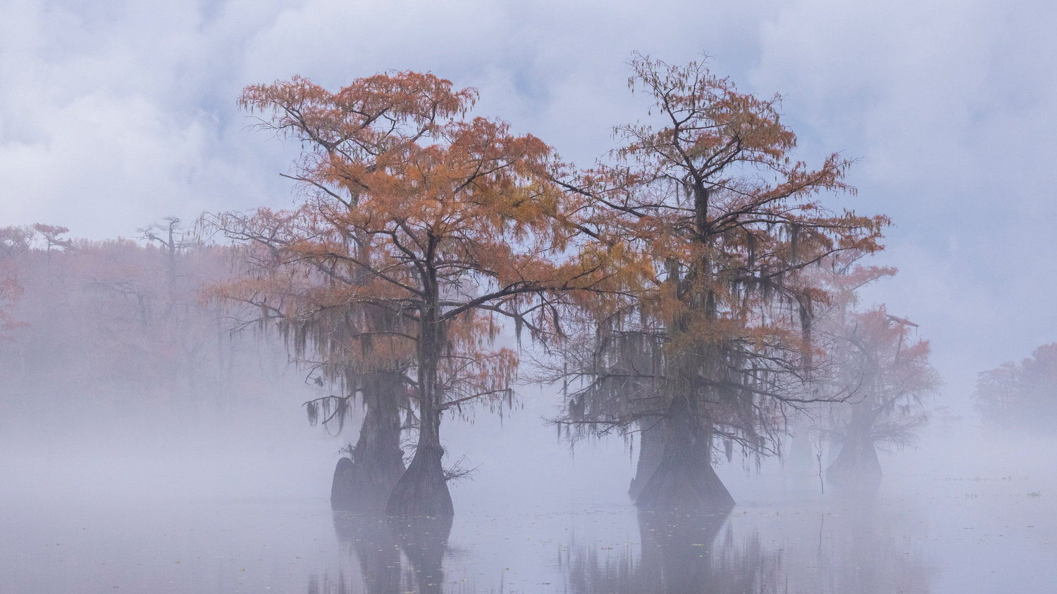 Louisiana gallery - Jim Zuckerman photography & photo tours