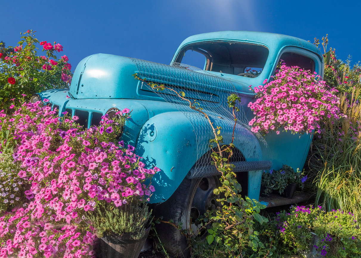 Photo Tours/Workshops - Jim Zuckerman Photography