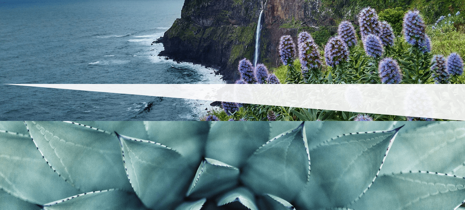 How To Use Slant And Point Dividers - PhotoBiz Knowledge Base