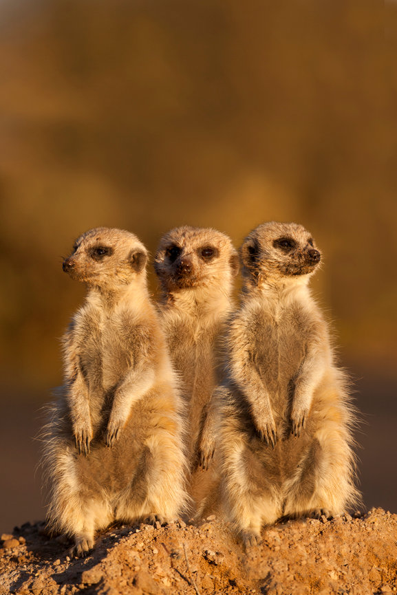 Jim's Blog | Jim Zuckerman Photography & Photo Tours