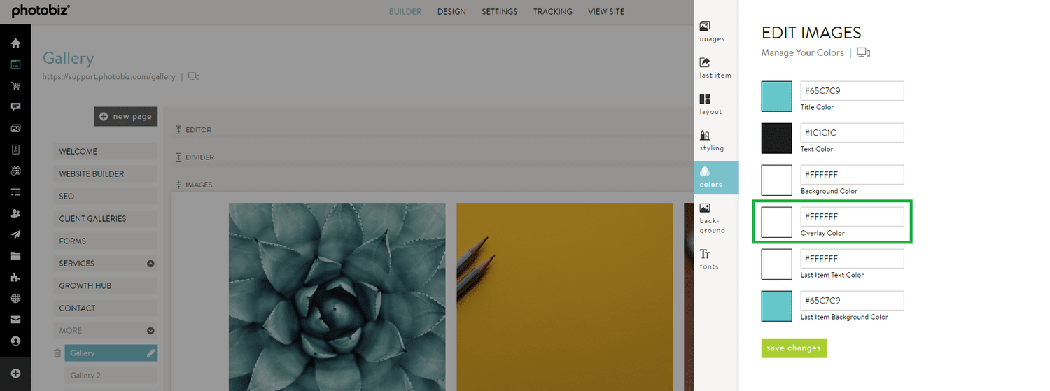 How To Add A Color Overlay To Images in Image Blocks - PhotoBiz ...