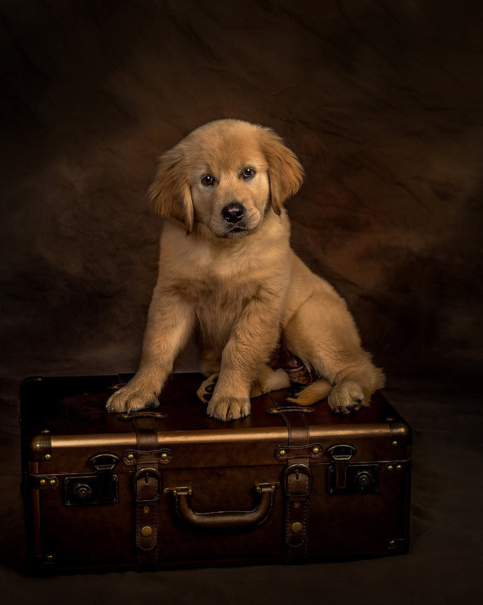 Dennis Craft - Society of XXV