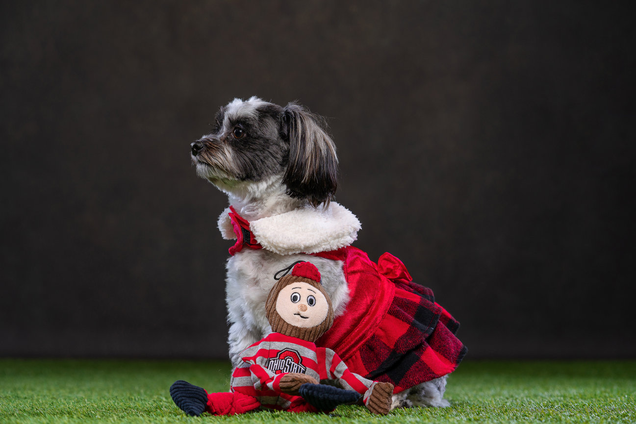 Client Final Galleries - Orendorff Studios