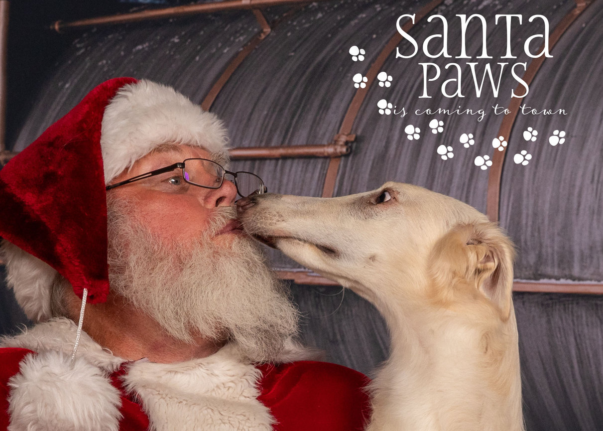 Santa Paws 2023 - Terri Jacobson Photography