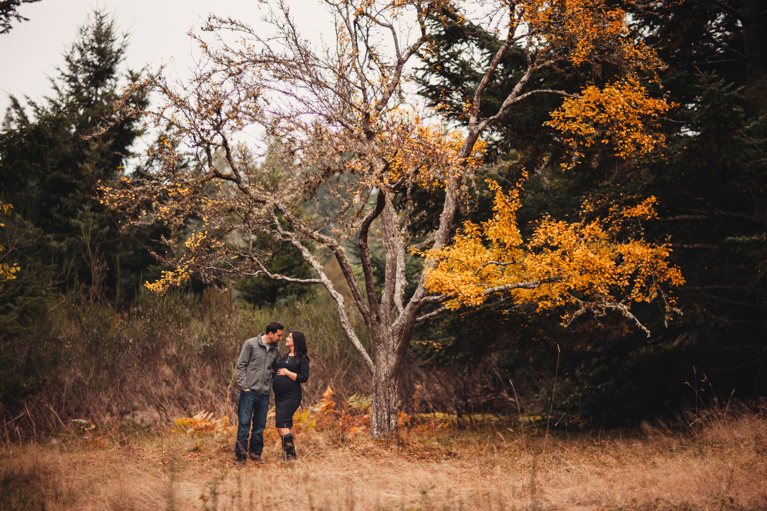 ENGAGEMENTS & COUPLES - Suzanne Sagmeister Photography