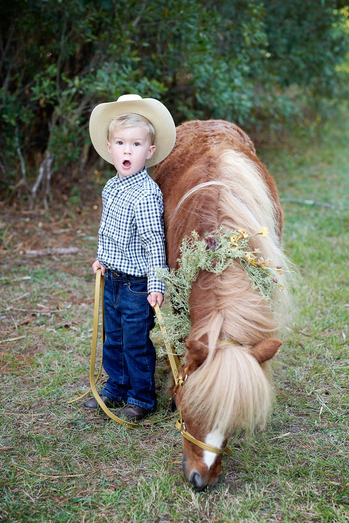 A horse is a horse - Jamie Rich Photography