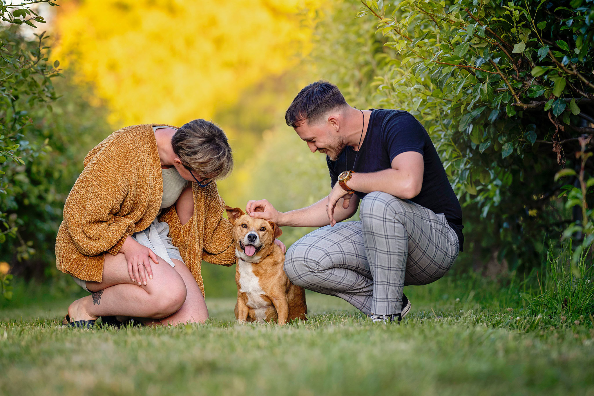 5 tips on what to wear to a pet photography session