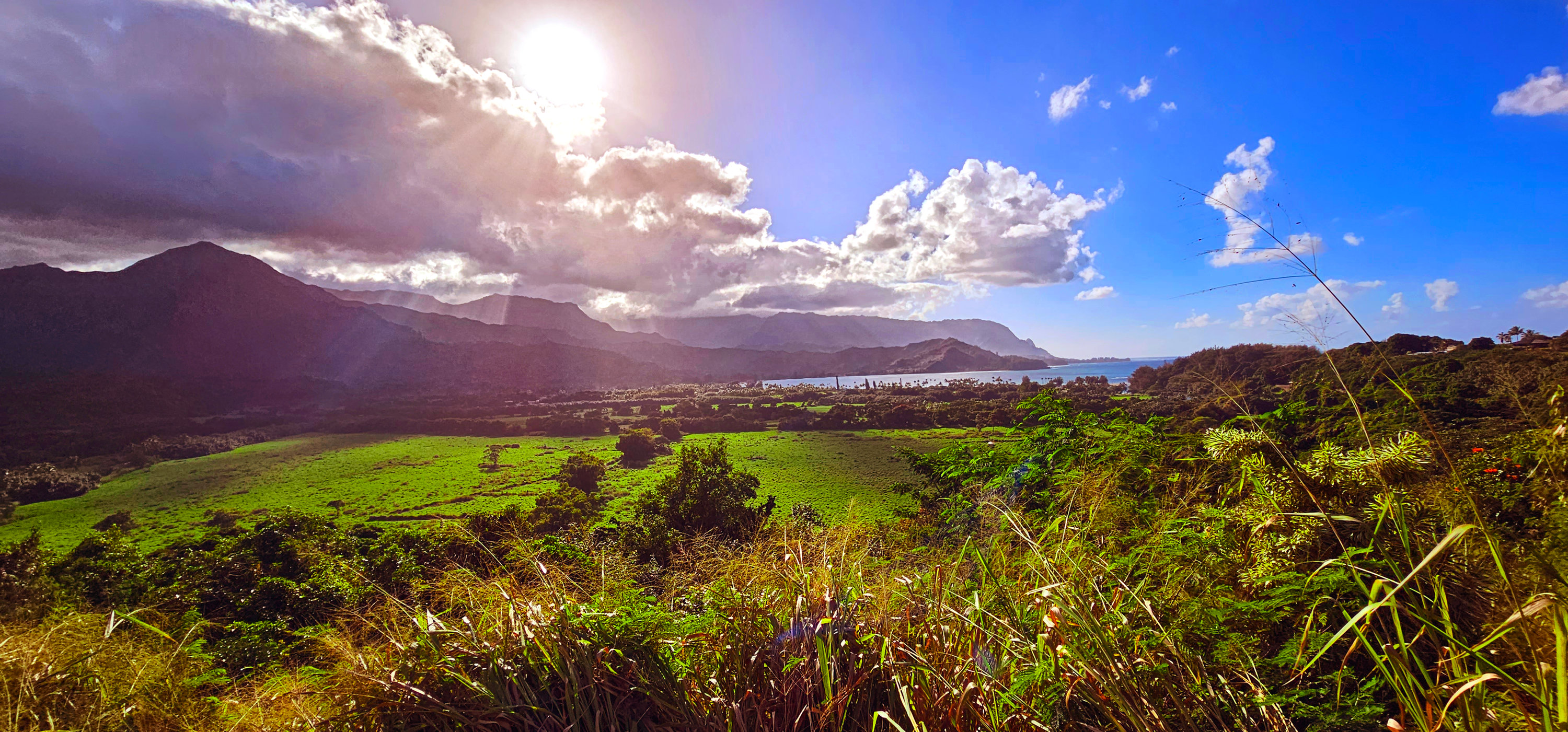 Artist- Eric Wiles Photography