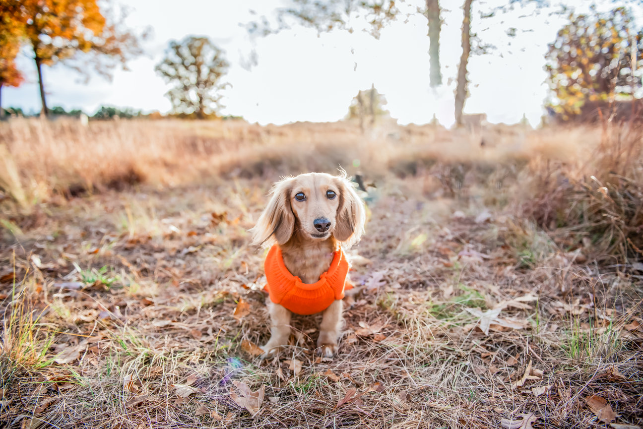 GALLERY - April Eason Photography