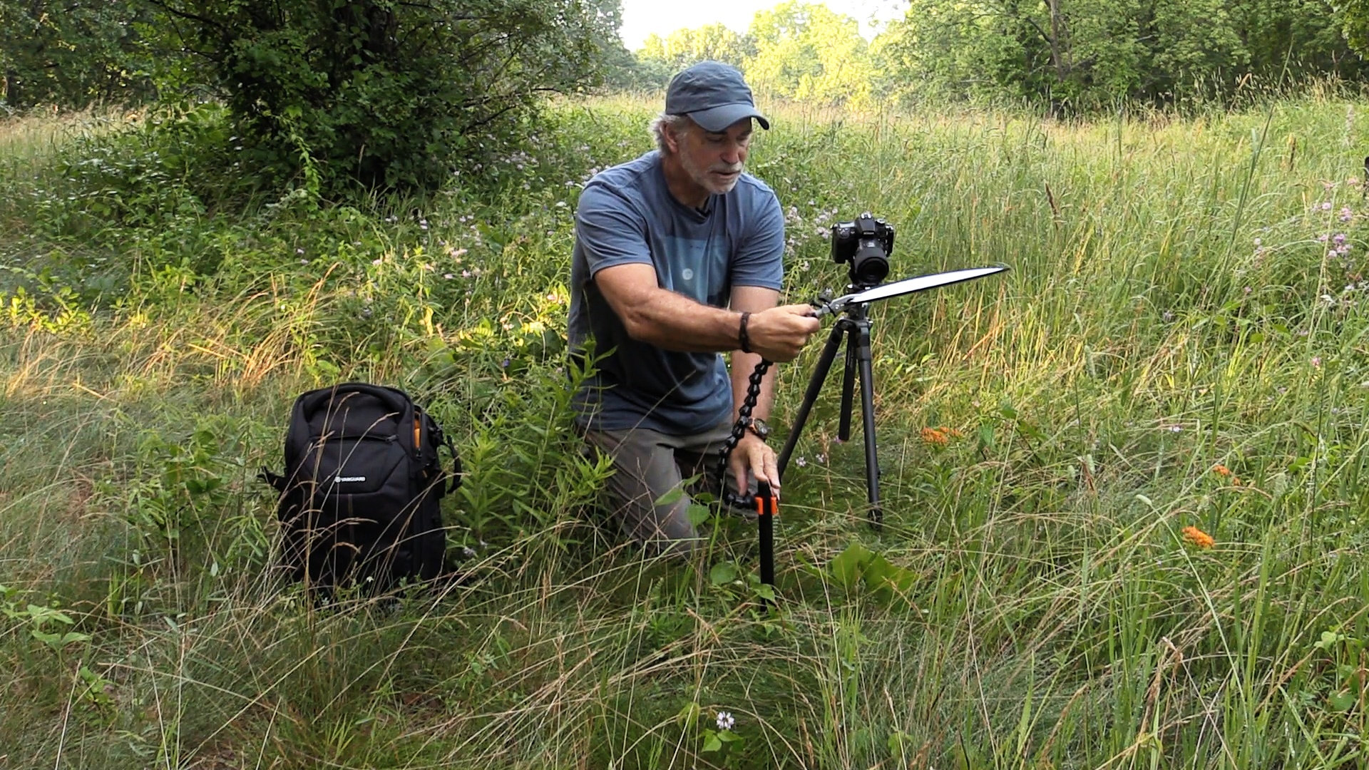 Benefit of Macro Photography, We Control the Light - Mike Moats - Award ...