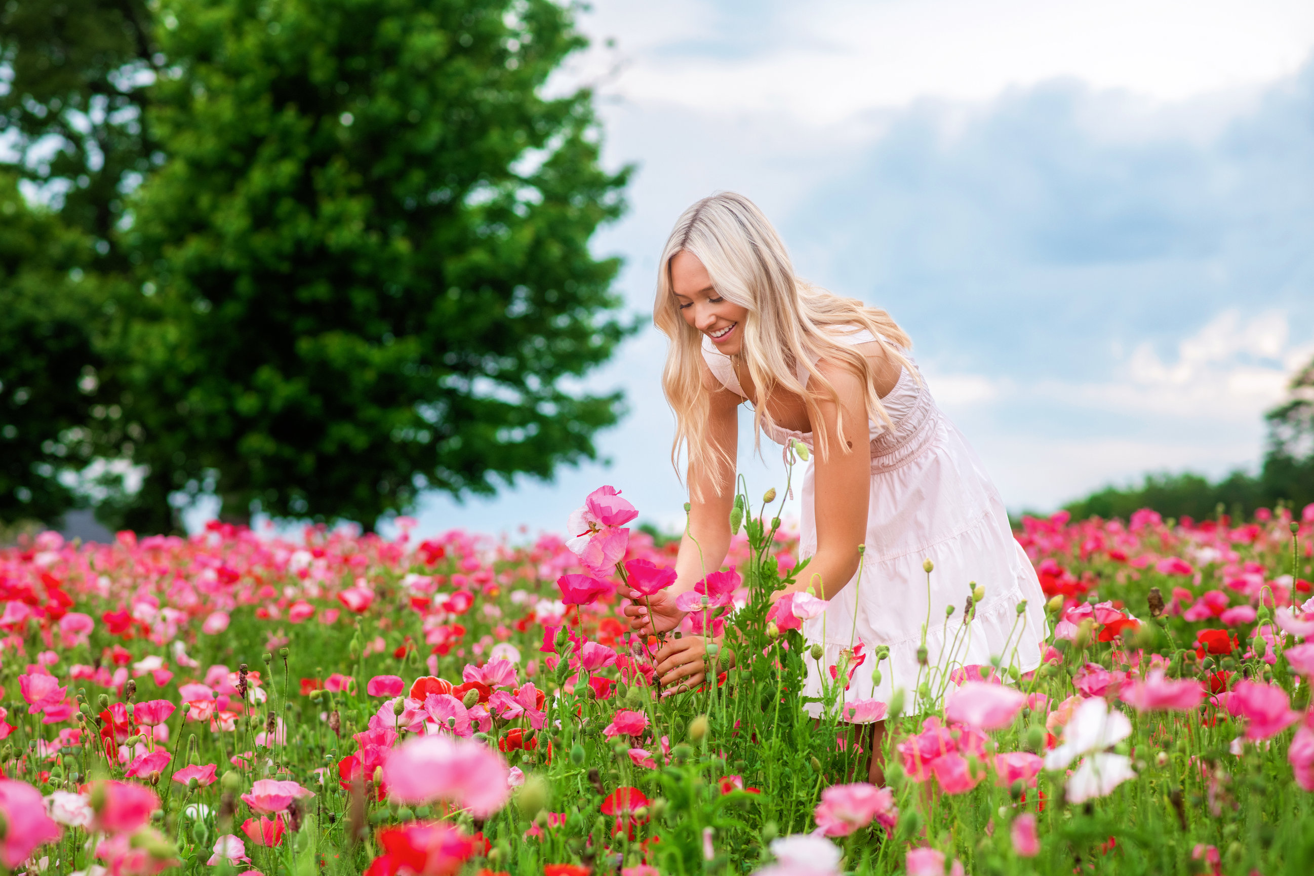 Wildflower Photography | Lake Norman Senior Photographer